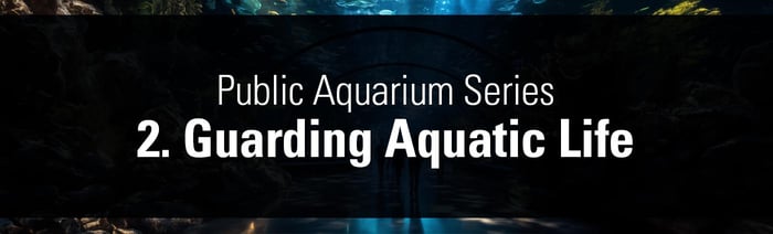 Public Aquarium Series - 2. Guarding Aquatic Life