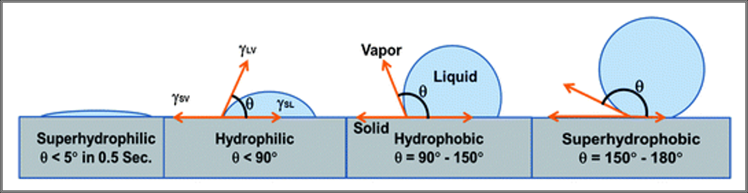 Hydrophobic vs Hydrophilic Polyurethanes - The Difference